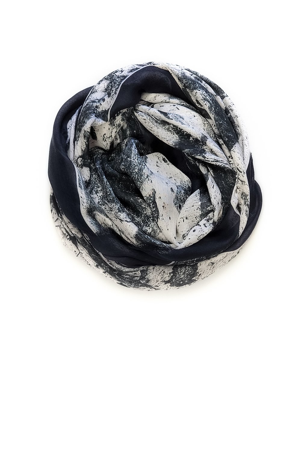 Fossils - Israel (Mediterranean Coast) - FALL 2024 - NOW AVAILABLE — Lolili