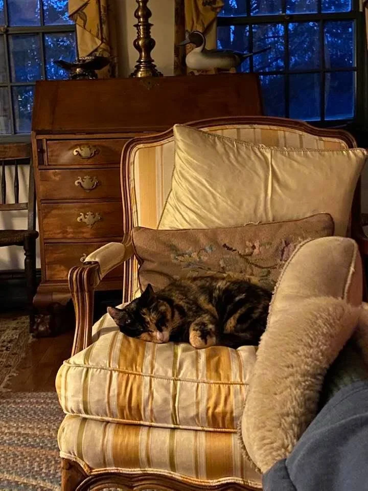 Tabitha knows winter is coming — Carolyn Egeli