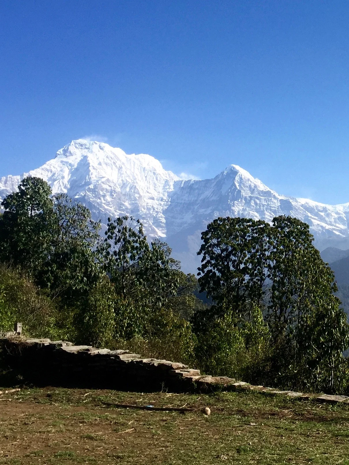 Hiking the Dhampus Trek — Moore Misadventures