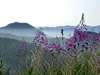 Washington Hike Guide: Kelly Butte Lookout — Moore Misadventures