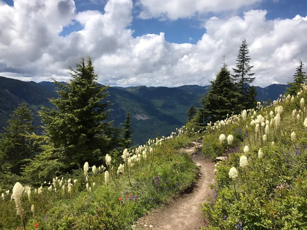 Seven Best Hikes in Washington State — Moore Misadventures