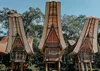 The Living Dead: Understanding the Culture of Tana Toraja — Moore ...