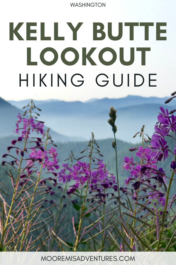 Washington Hike Guide: Kelly Butte Lookout — Moore Misadventures