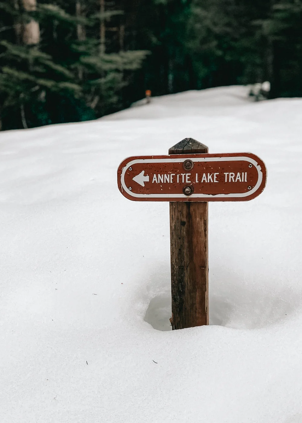 Washington Hiking Guide: Annette Lake — Moore Misadventures