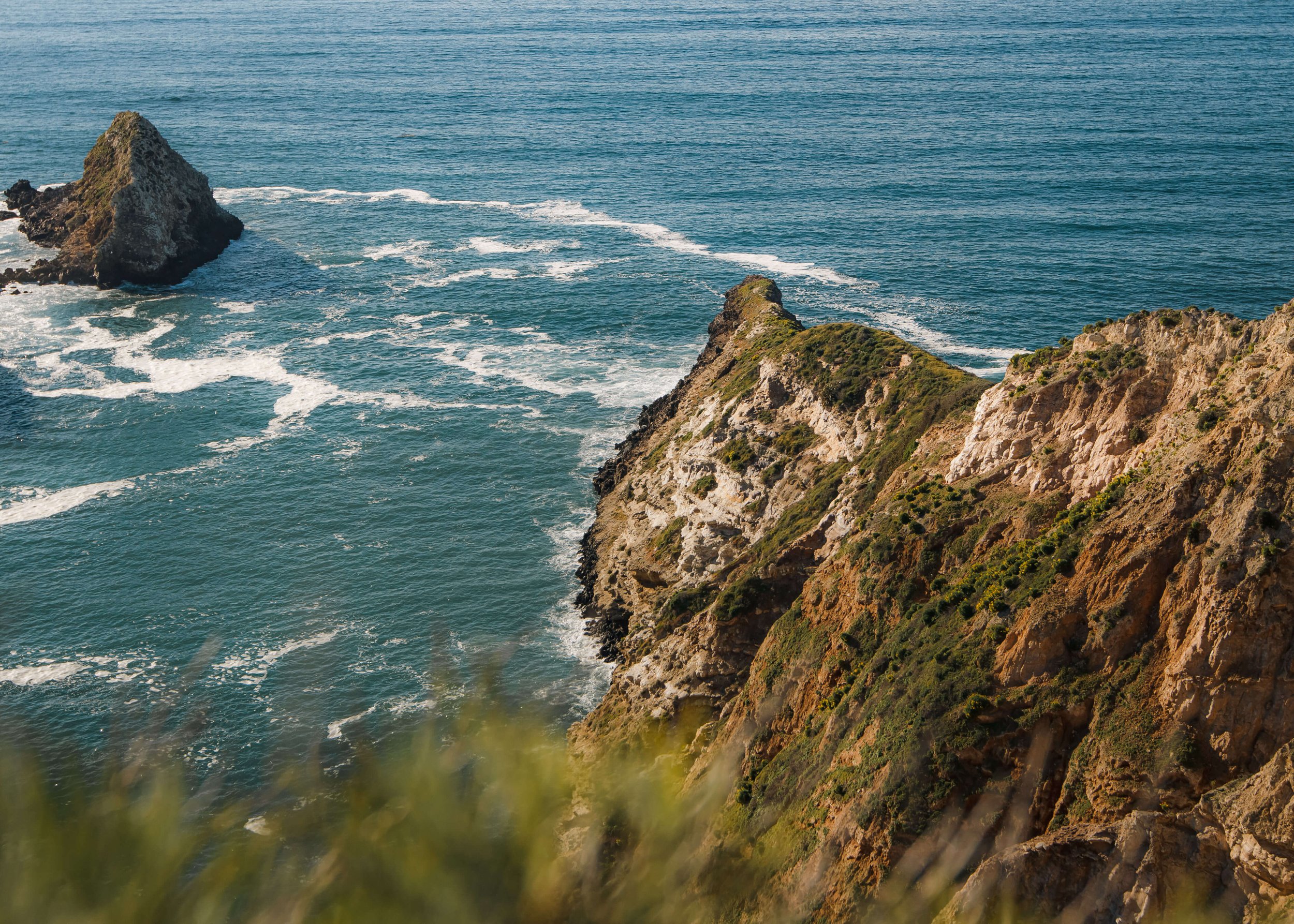 Channel Islands National Park Travel Guide — Moore Misadventures