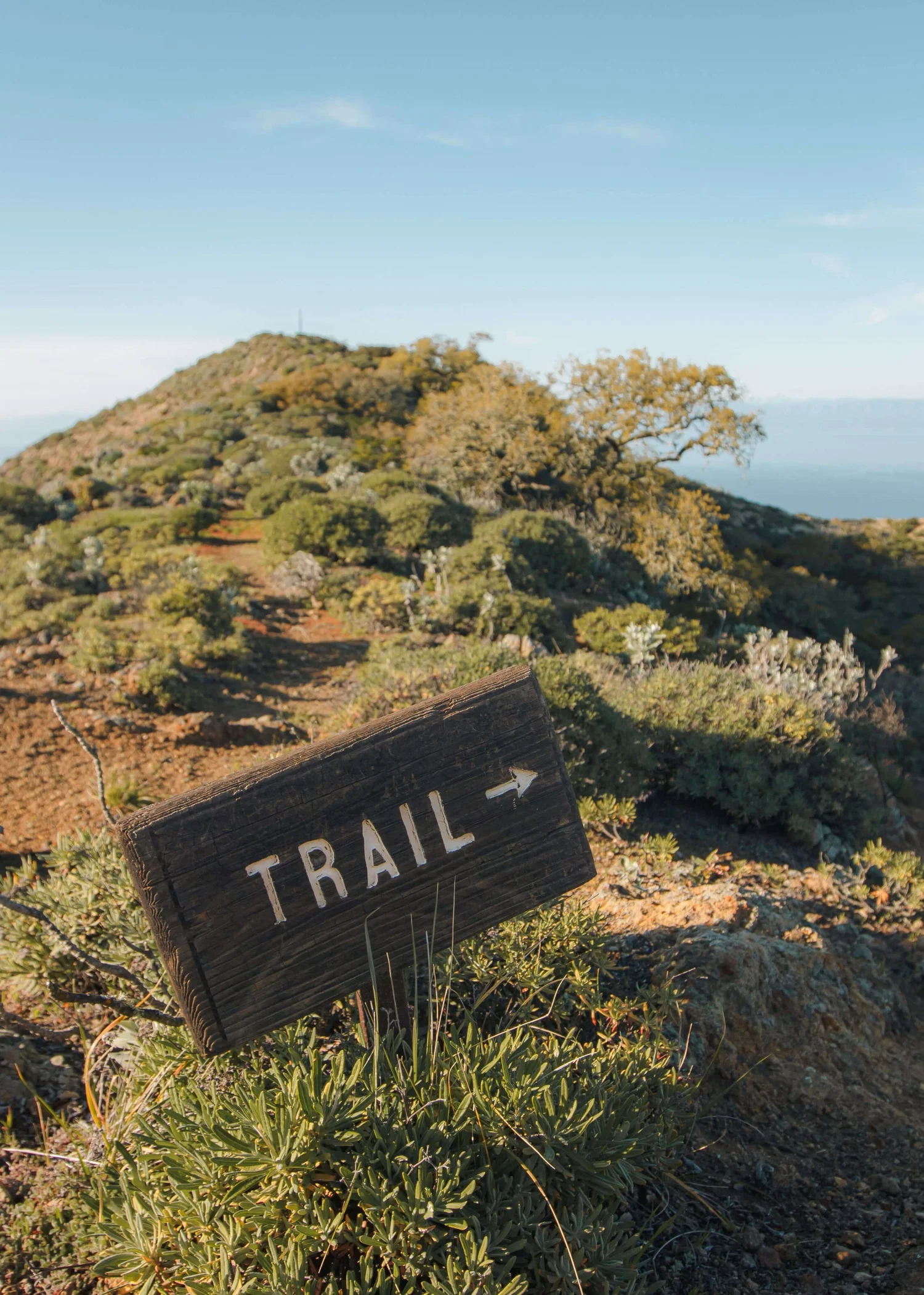 Channel Islands National Park Travel Guide — Moore Misadventures