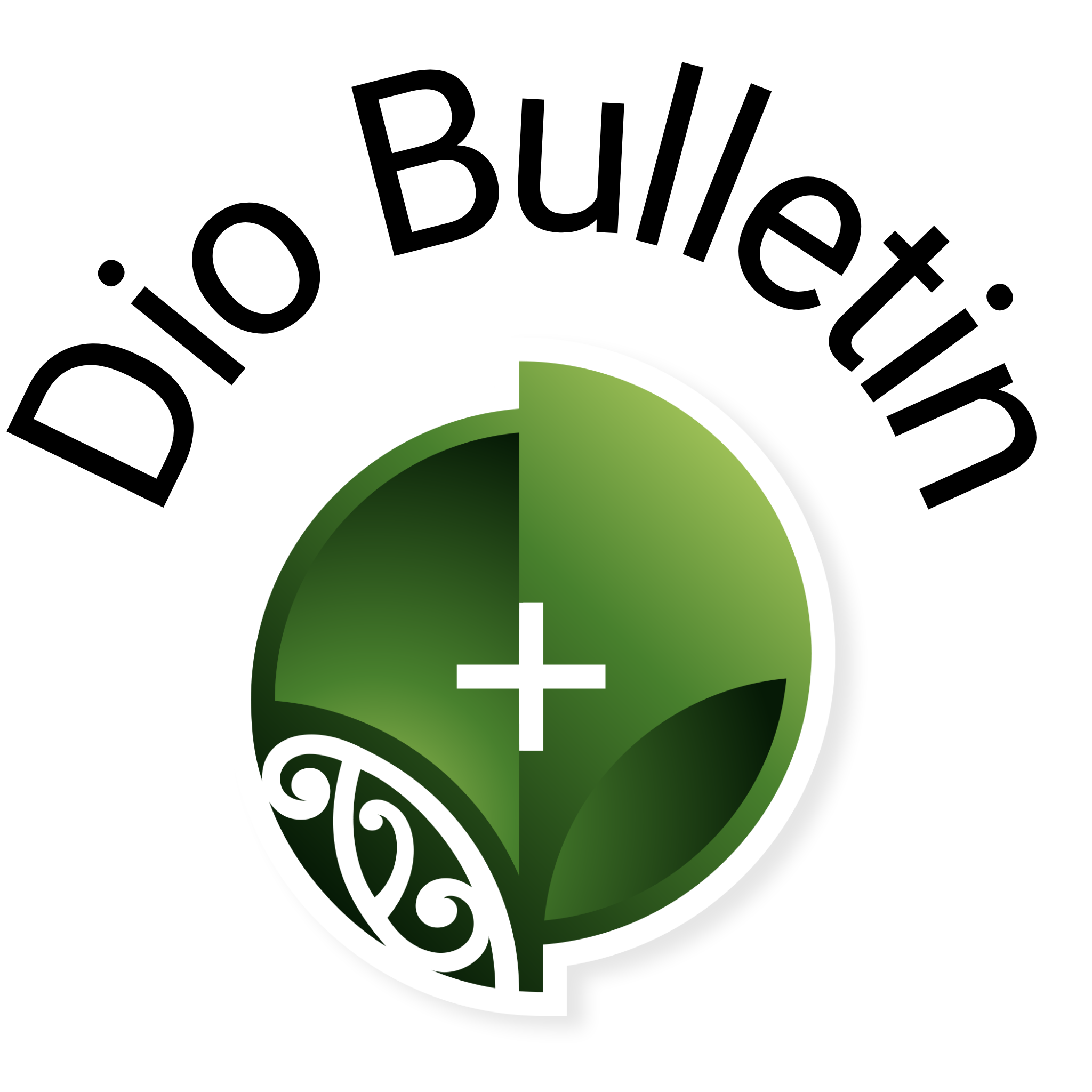 Diocesan Bulletin — Catholic Diocese of Hamilton