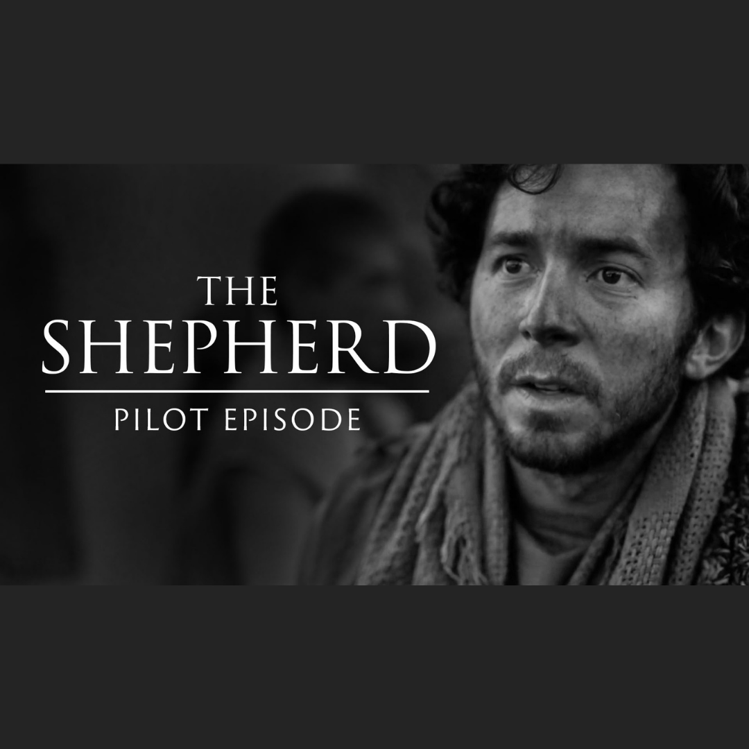 The Shepherd - A story of the first Christmas — Catholic Diocese of ...