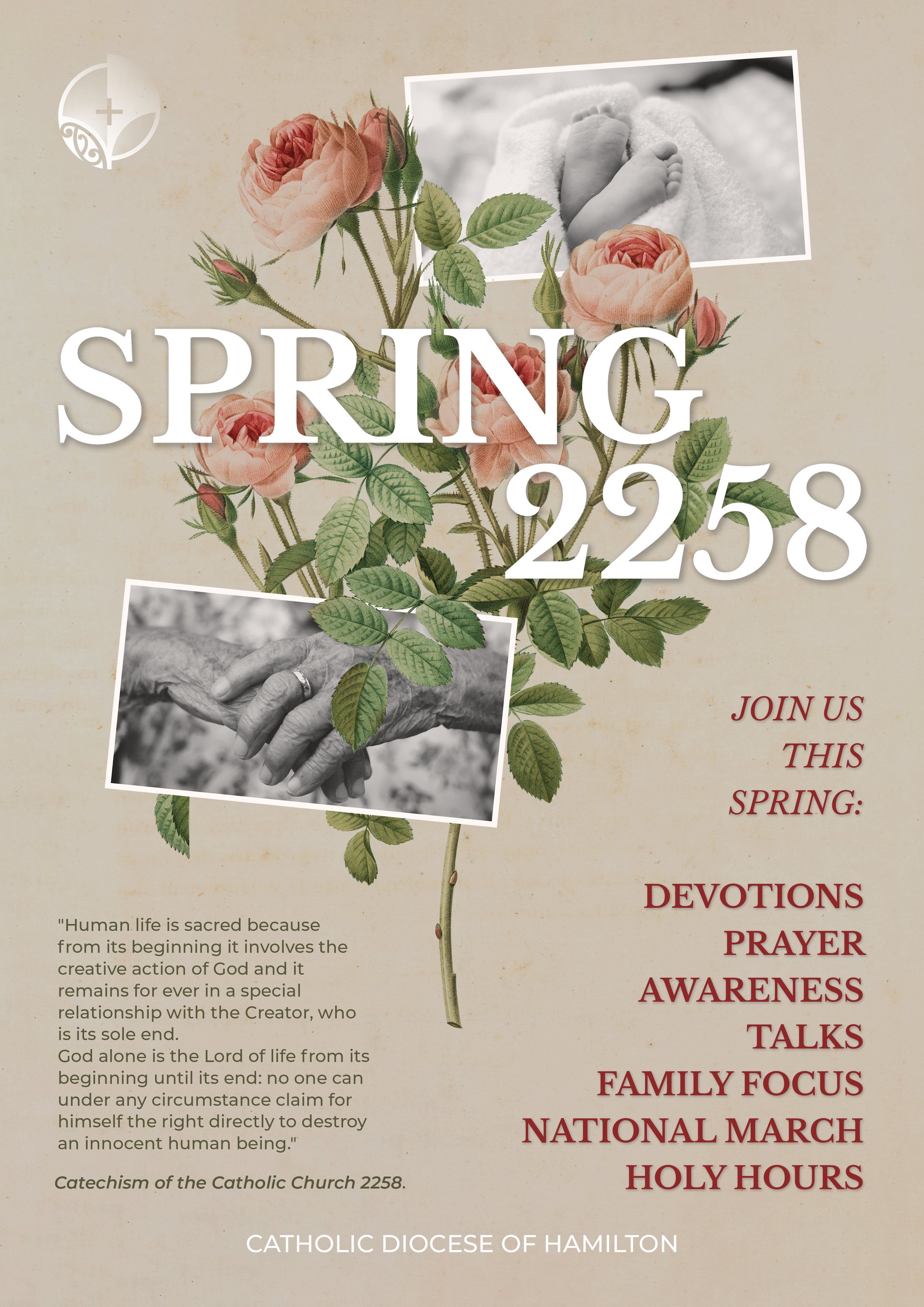 Diocesan Bulletin — Catholic Diocese of Hamilton