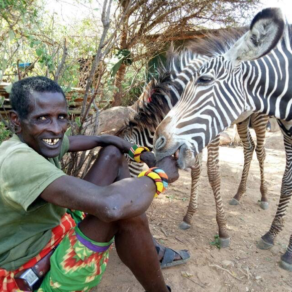 Grevy's Zebra Orphans at the Reteti Sanctuary — World Women Work