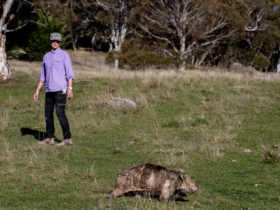 Mange & Disease — WPSA