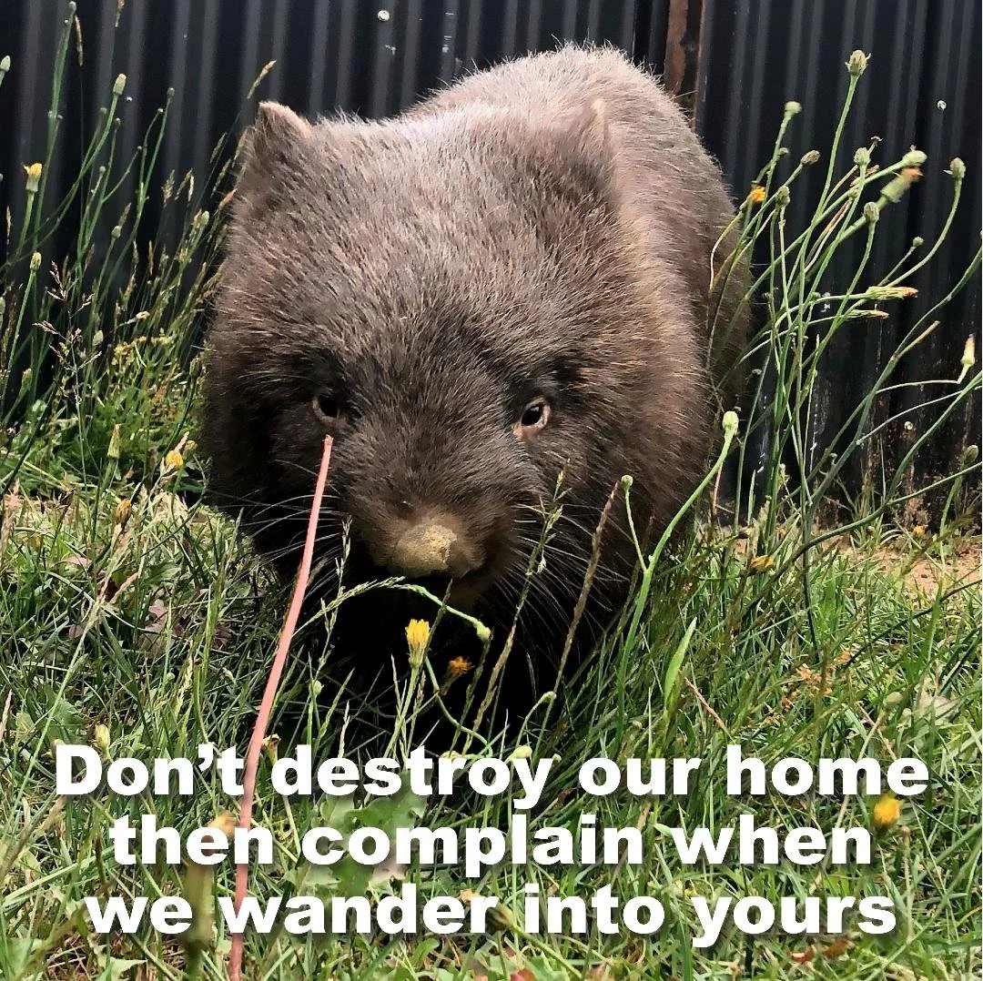 Mitigation — WPSA