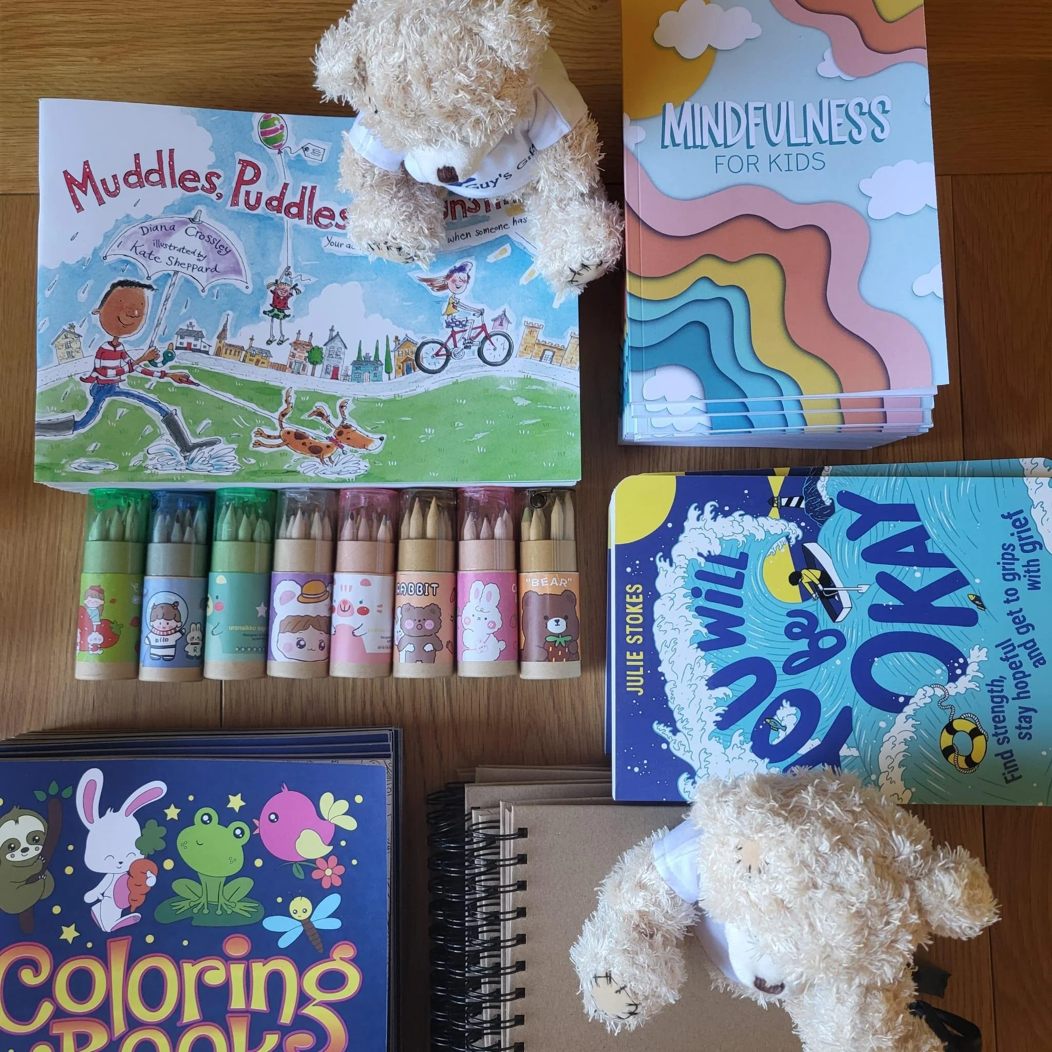 Bereavement support packs for local hospital — Guy's Gift