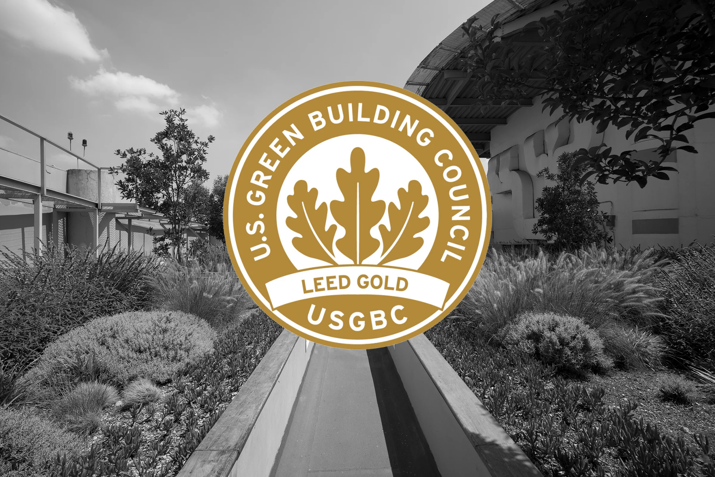 Torre Siglum — Grupo Surge