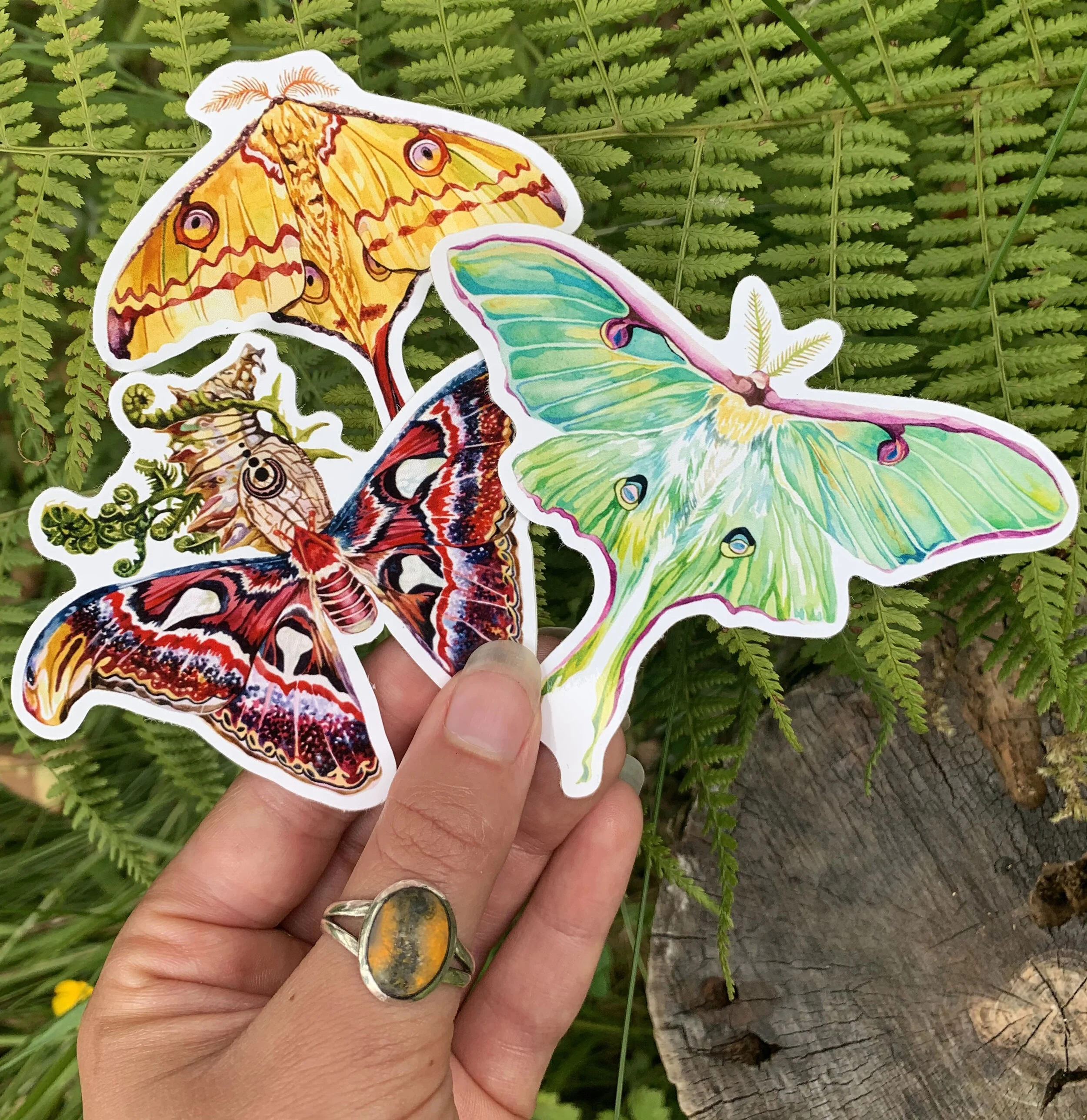 Paper & Party Supplies Stickers, Labels & Tags Moth Sticker Pack ...