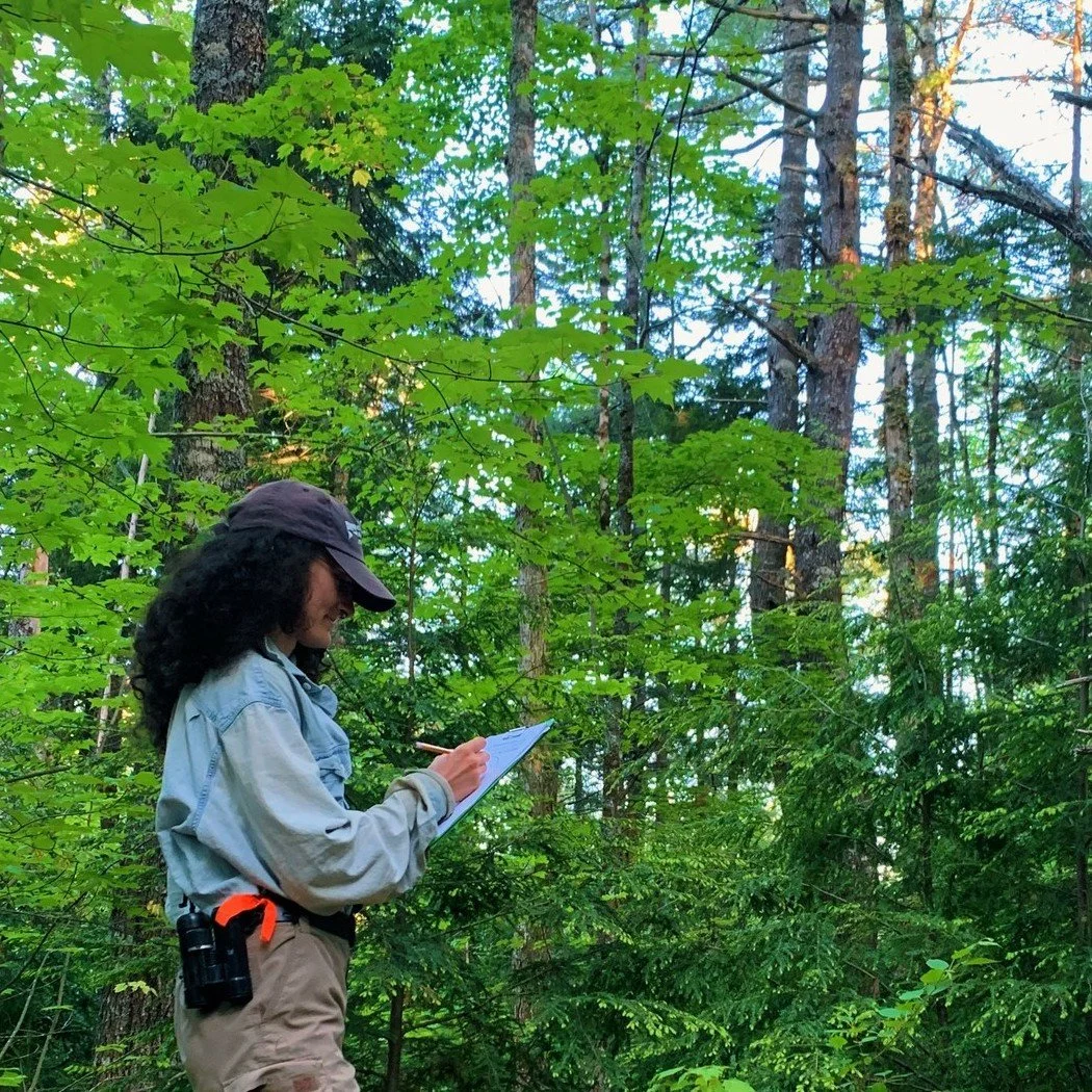 Medway Community Forest Cooperative