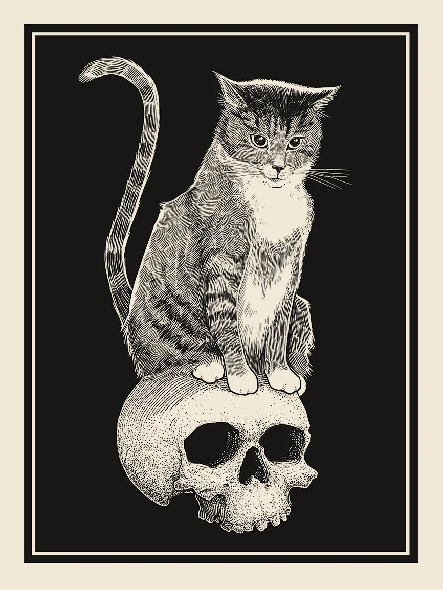 Store — Justin Santora