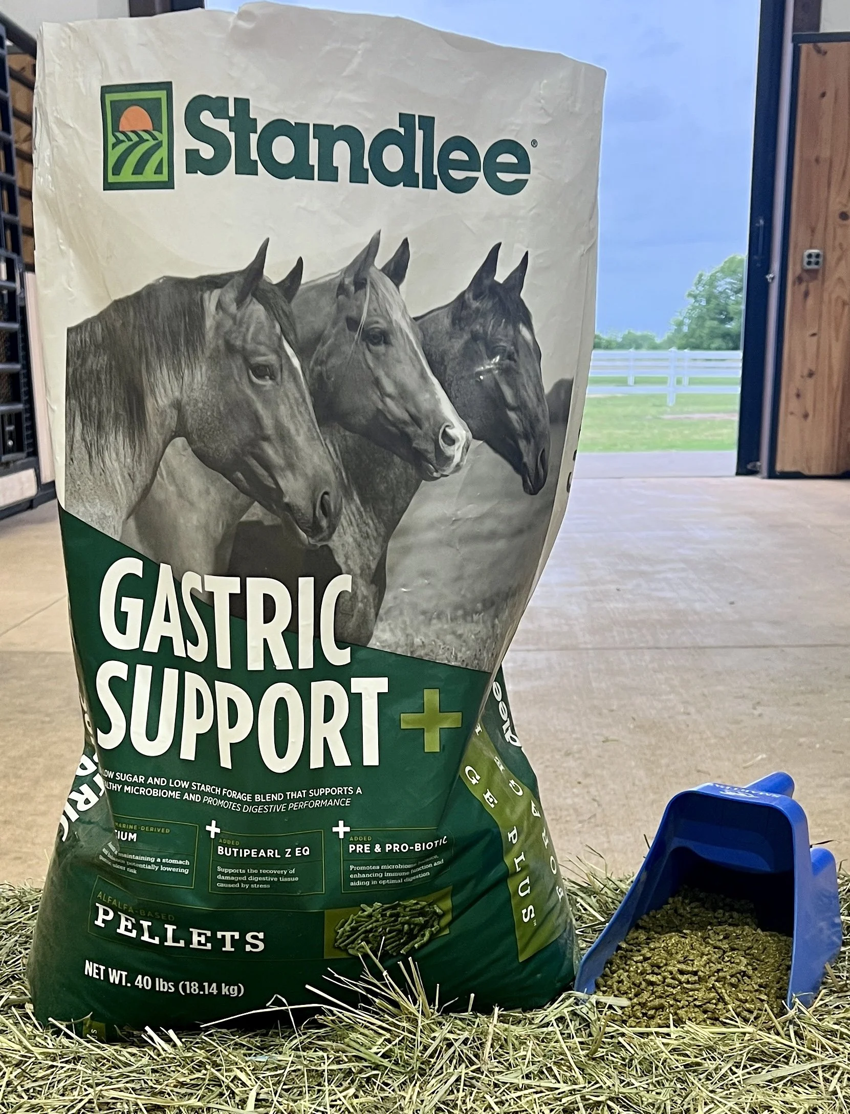Product Review: Standlee Forage Plus Gastric Support — One Fine Bay