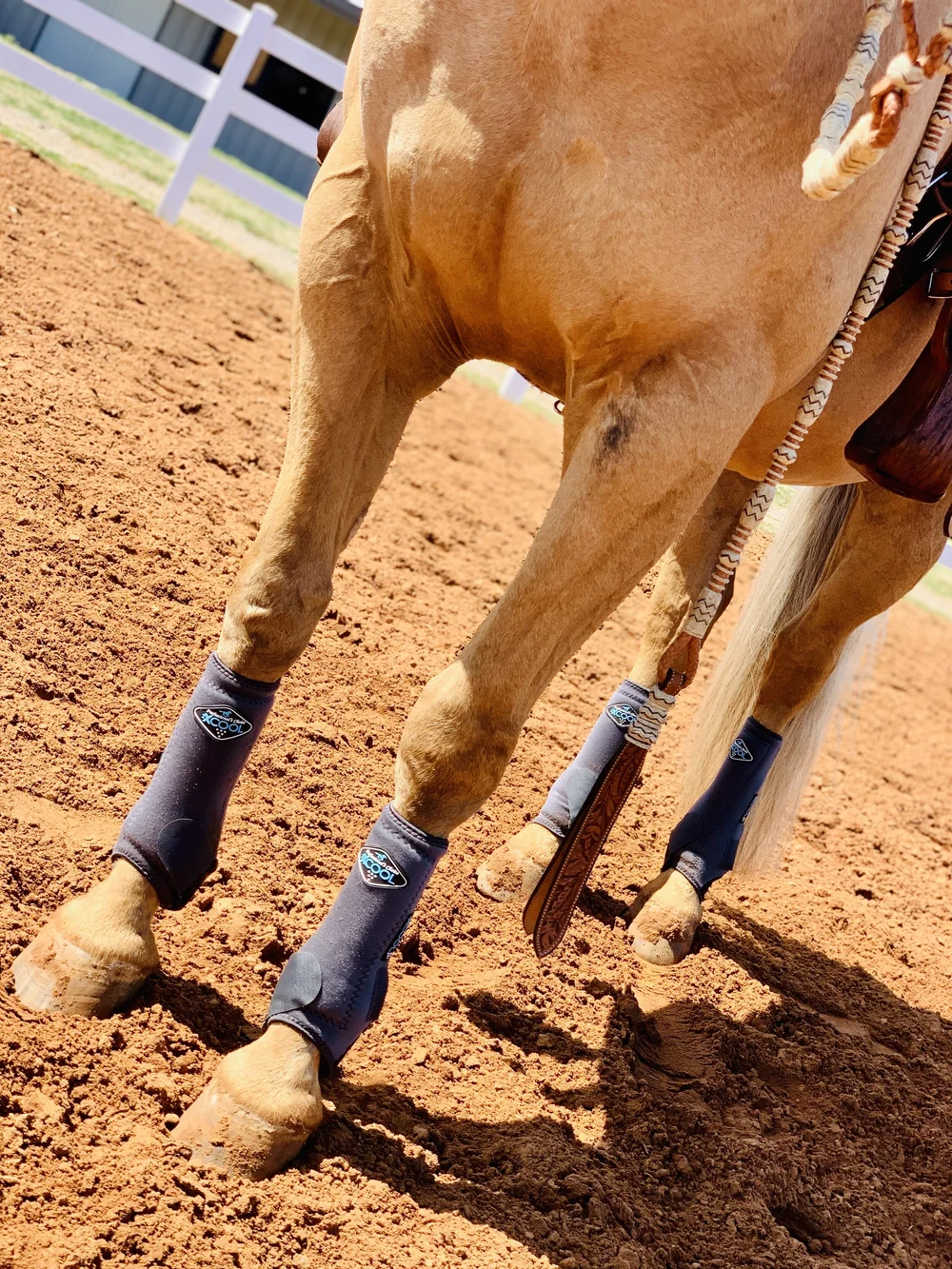 Professional Choice Splint Boots