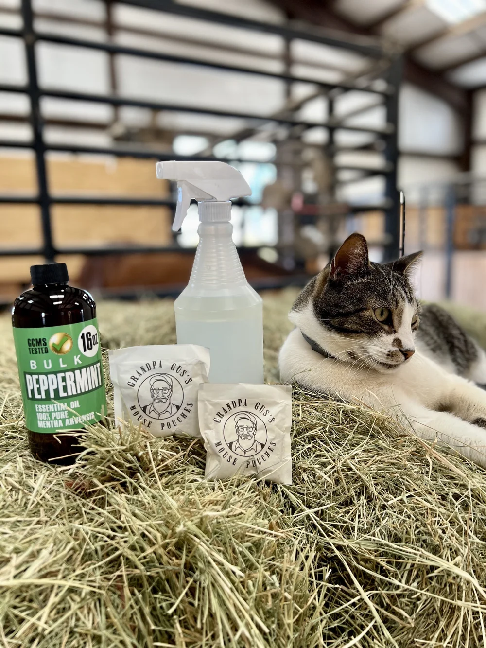 How To Repel Mice Naturally — One Fine Bay