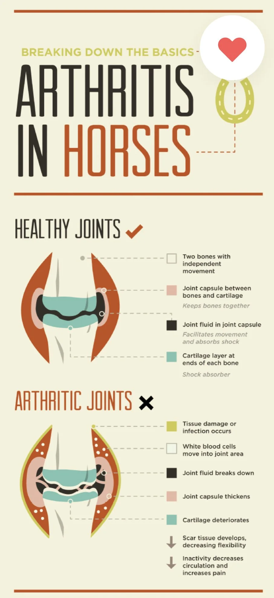 IRAP Joint Injections — One Fine Bay