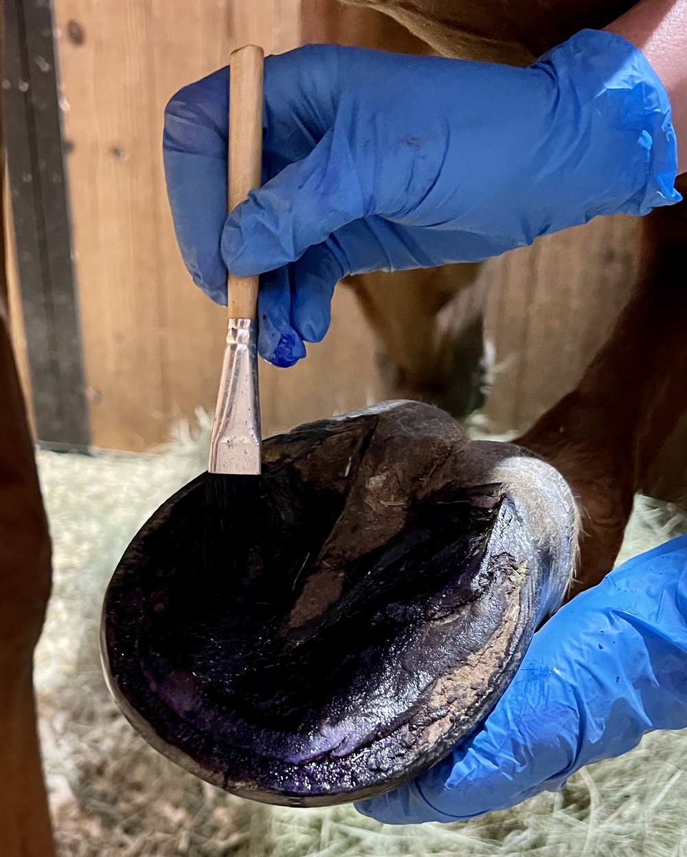 How Does It Work? Keratex and Durasole — One Fine Bay