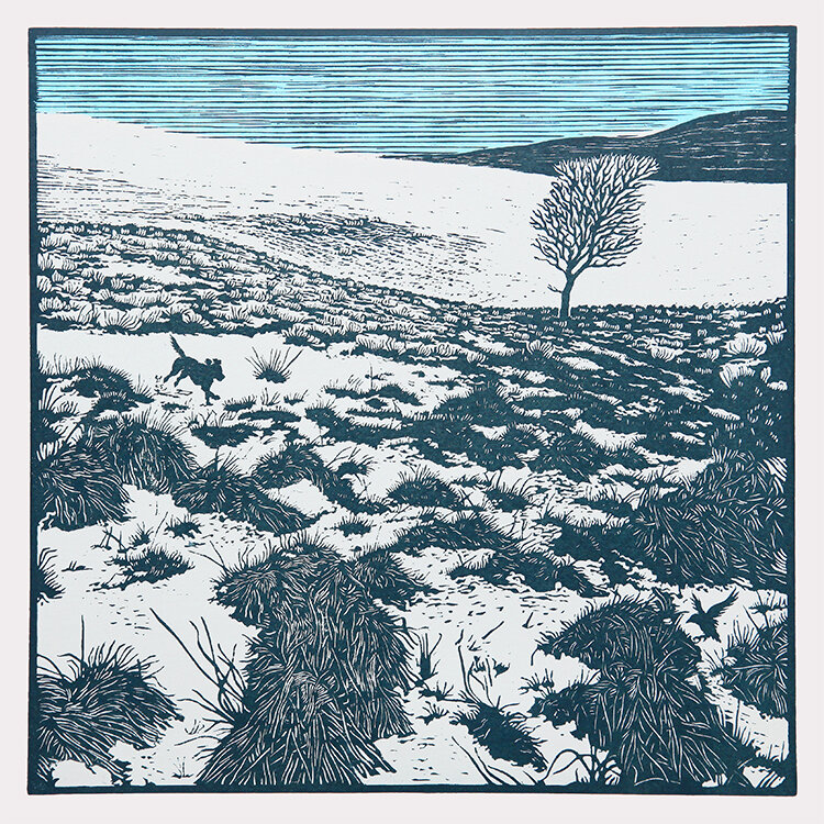 SHOP — Gregory Millar Art