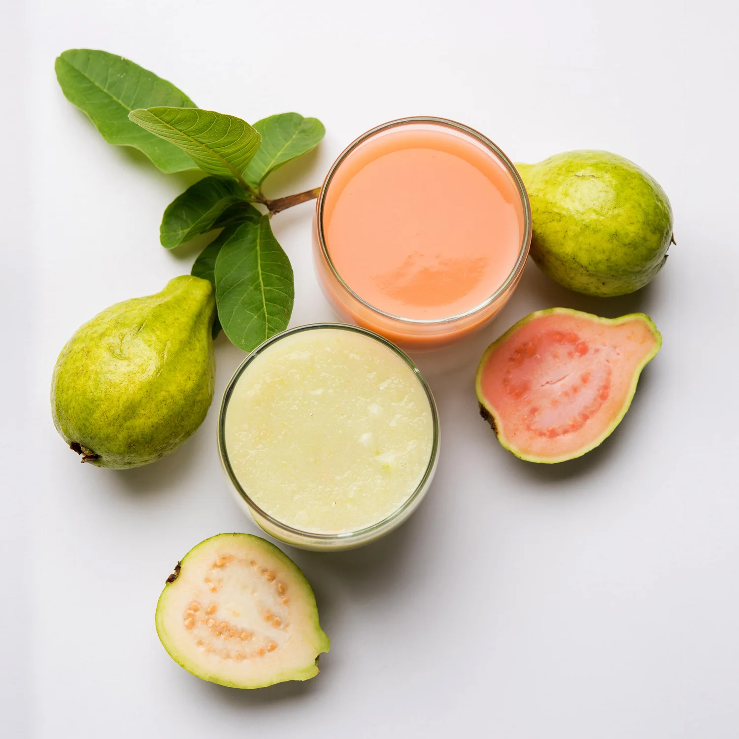 PRODUCTS — PREMIER JUICES