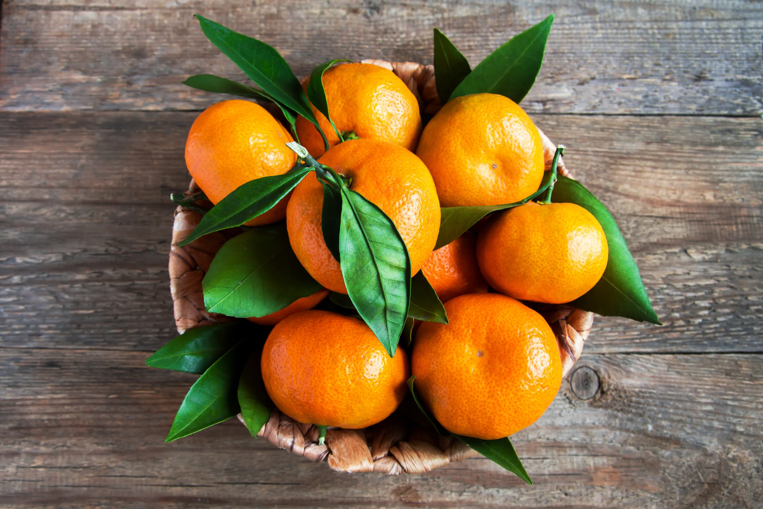 WHAT WE DO — PREMIER JUICES