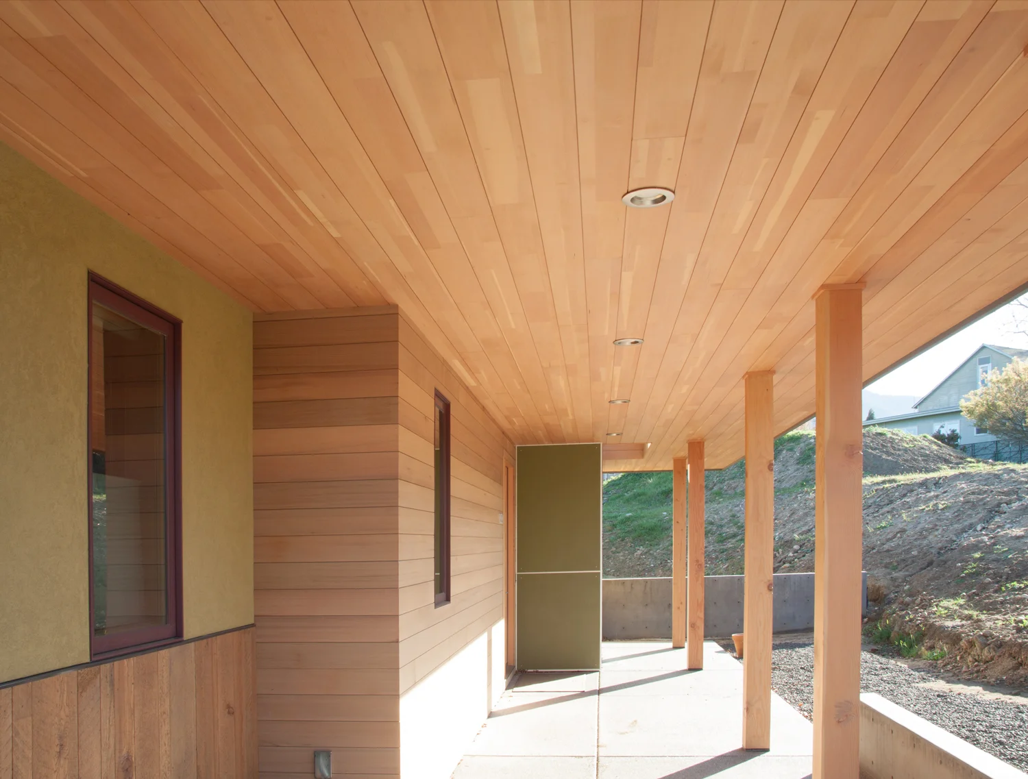 Grandstand Fir — ANTHOLOGY WOODS