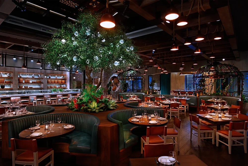 Catch Restaurant — ANTHOLOGY WOODS
