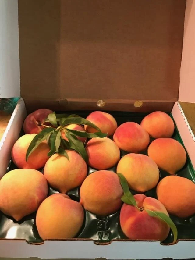 Produce — Winona Orchards