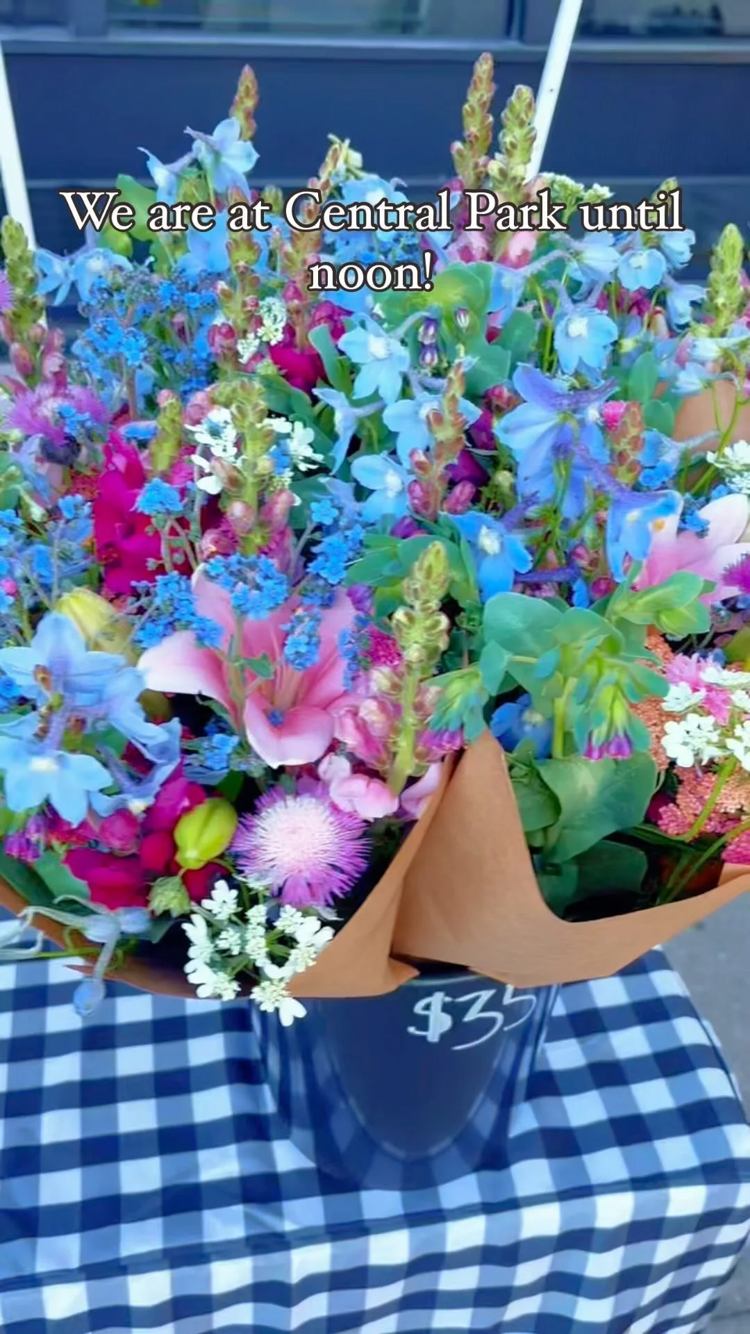 Bushel and Peck Wildflowers