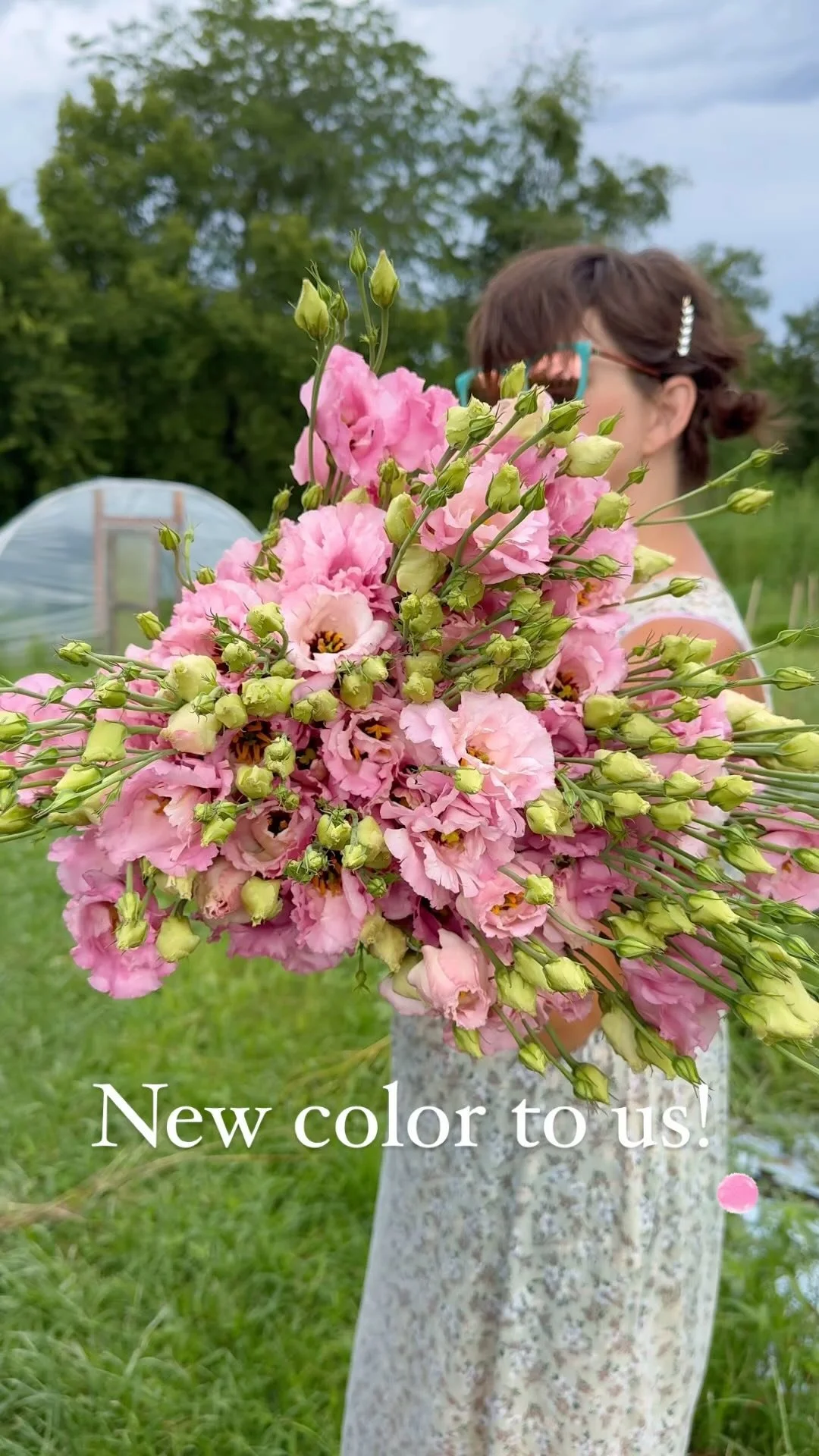 Bushel and Peck Wildflowers