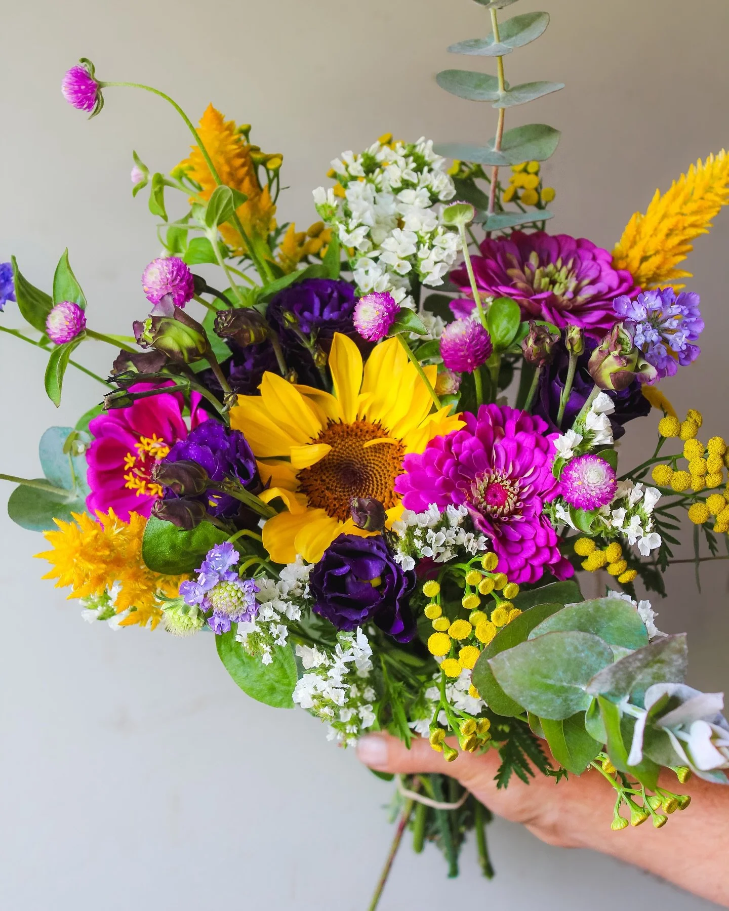 Bushel and Peck Wildflowers