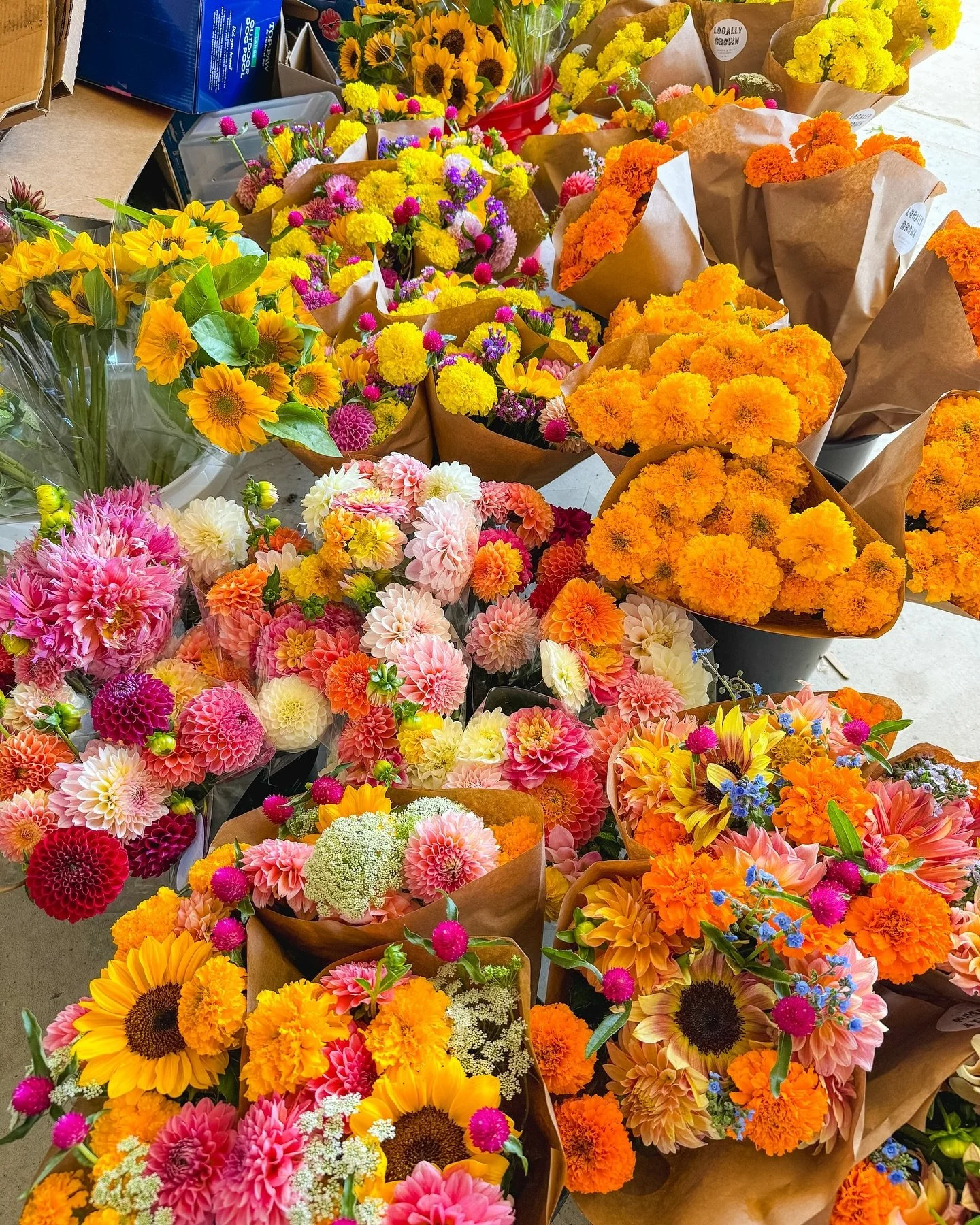 Bushel and Peck Wildflowers