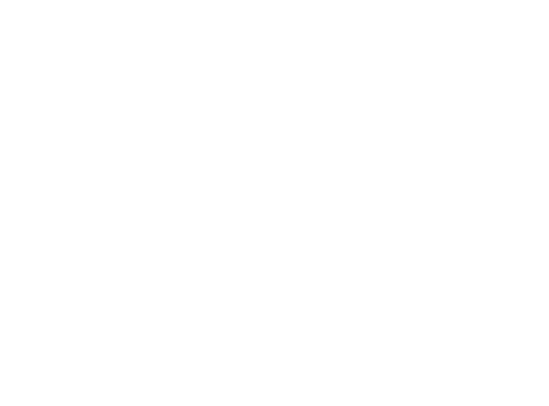 Chapman & Fisher Guitars - home