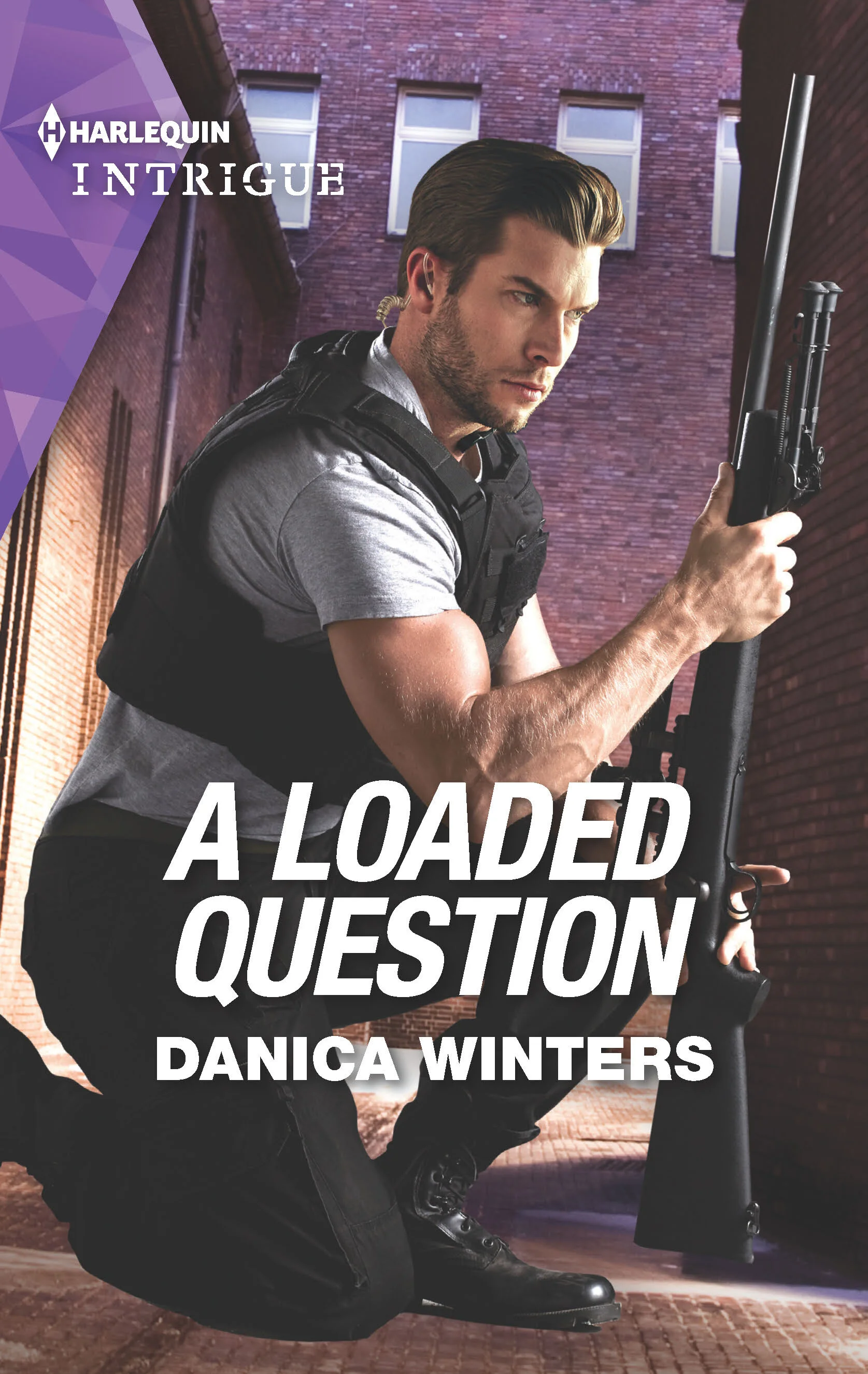 Cover Reveal: A Loaded Question (STEALTH: Shadow Team, Book 1) — Author Danica Winters