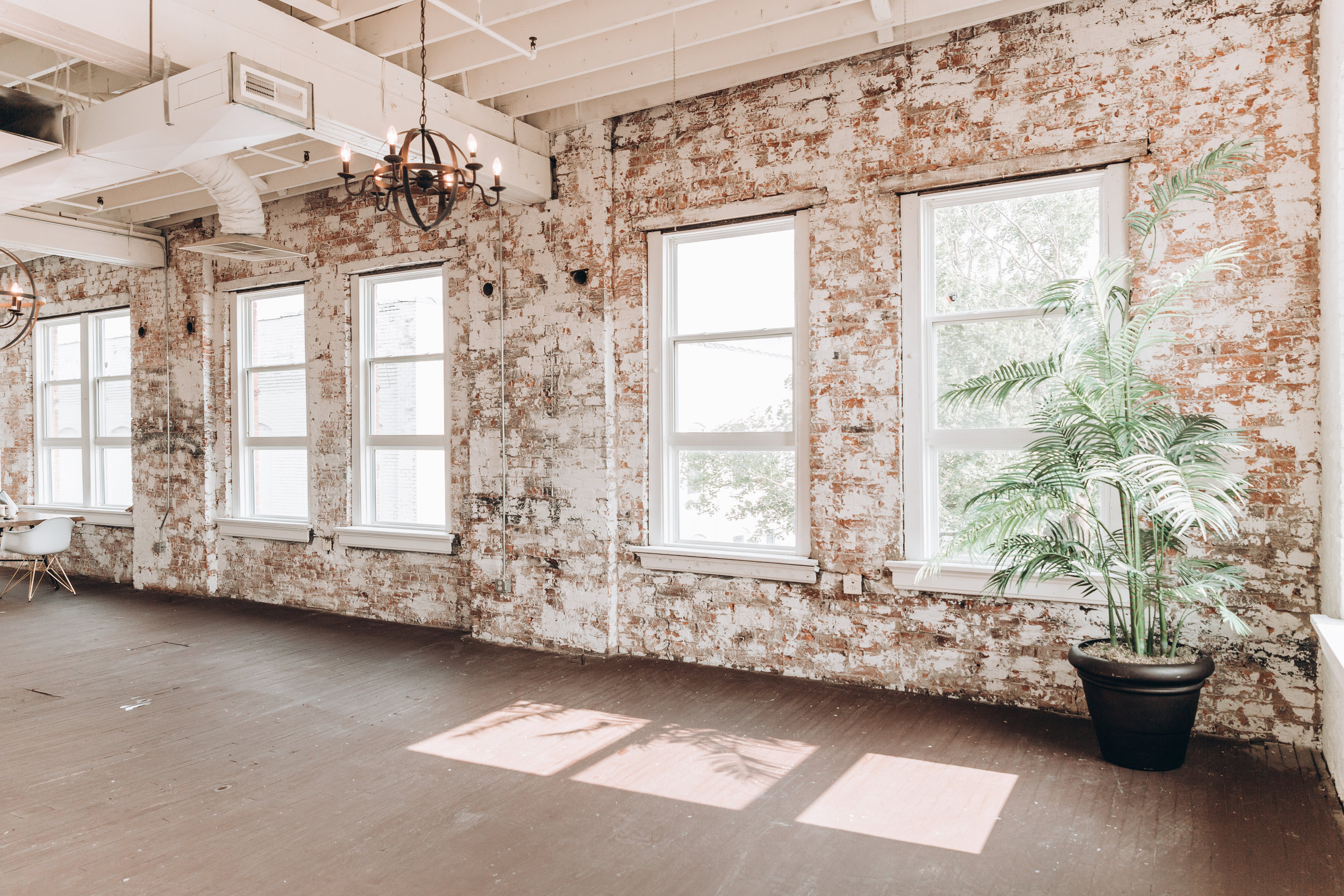 Studio — MILLENNIAL SUITE