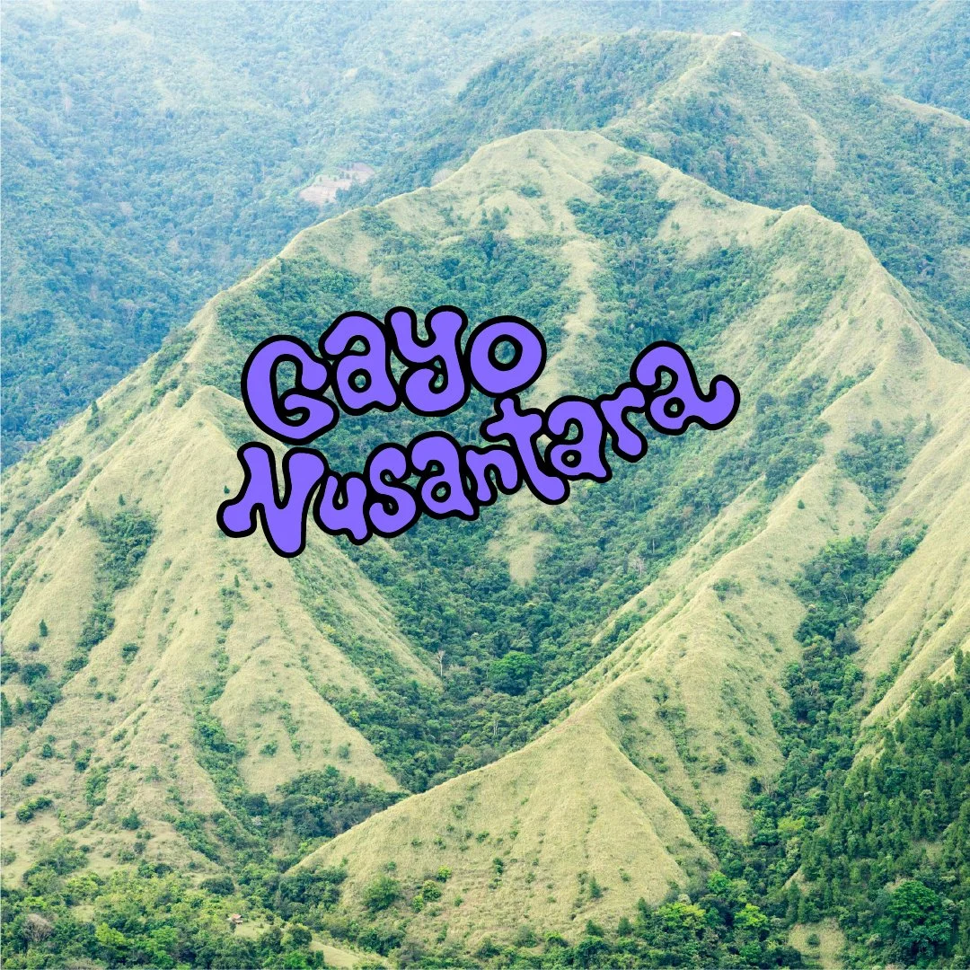 BIG MOUTH COFFEE ROASTERS