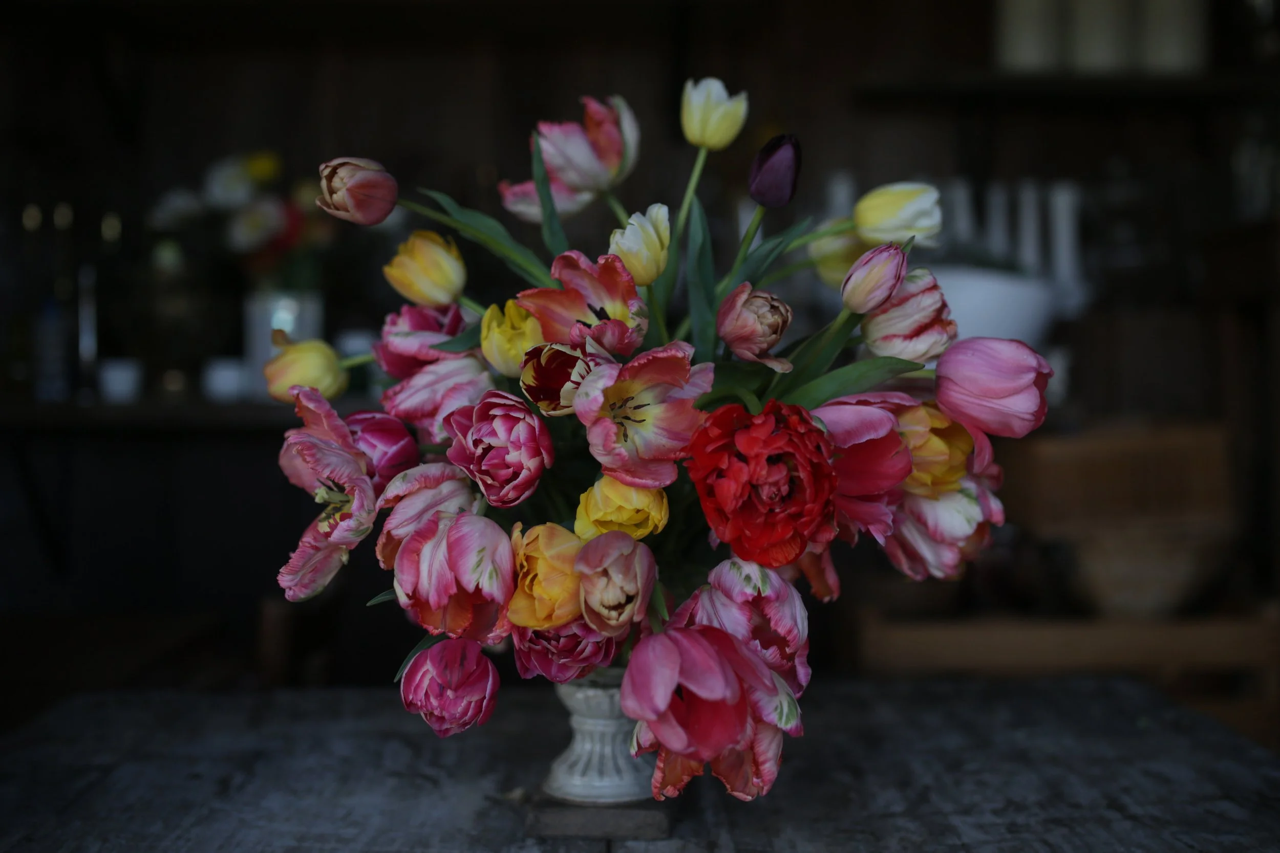 Charlottesville Virginia Florist