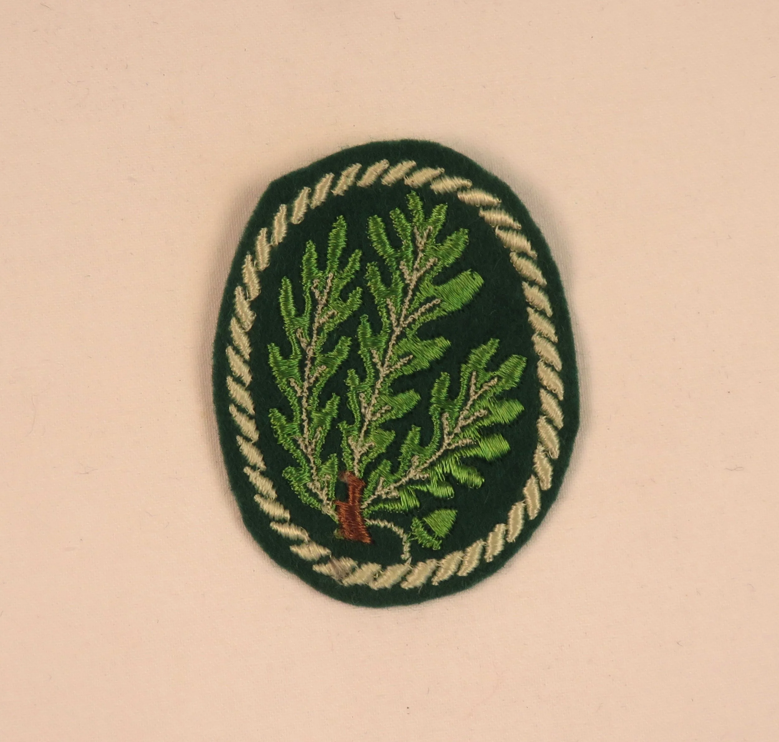 Germany. Heer (Army) “Brandenburg” Regimental Patch — WW2 Collectors World