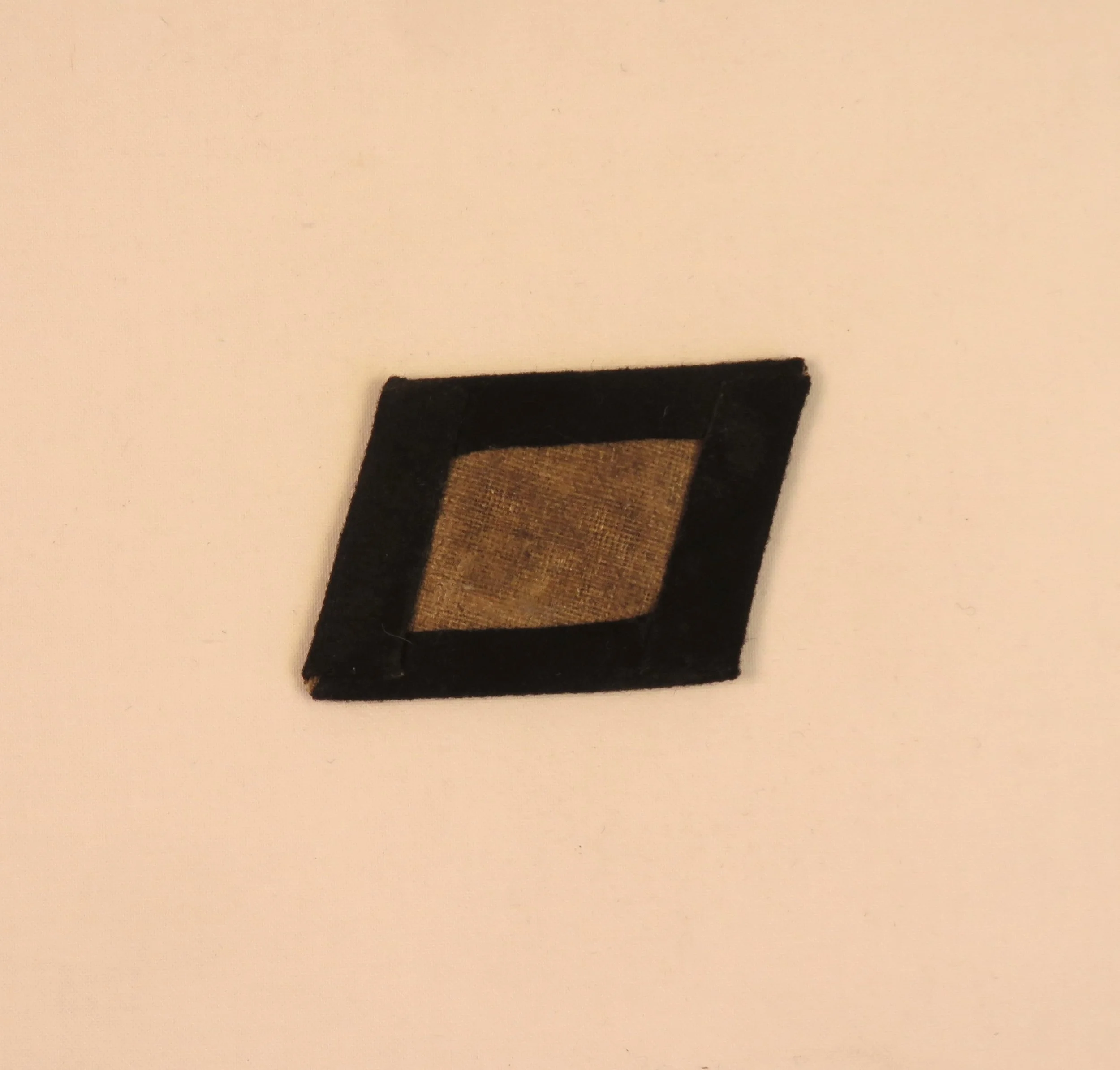 Germany. 33rd Waffen-SS Division "Charlemagne" — WW2 Collectors World