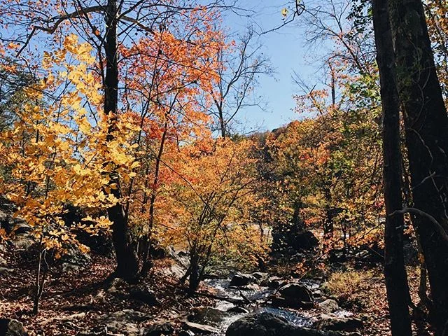 chloe bates | inspired by adventure