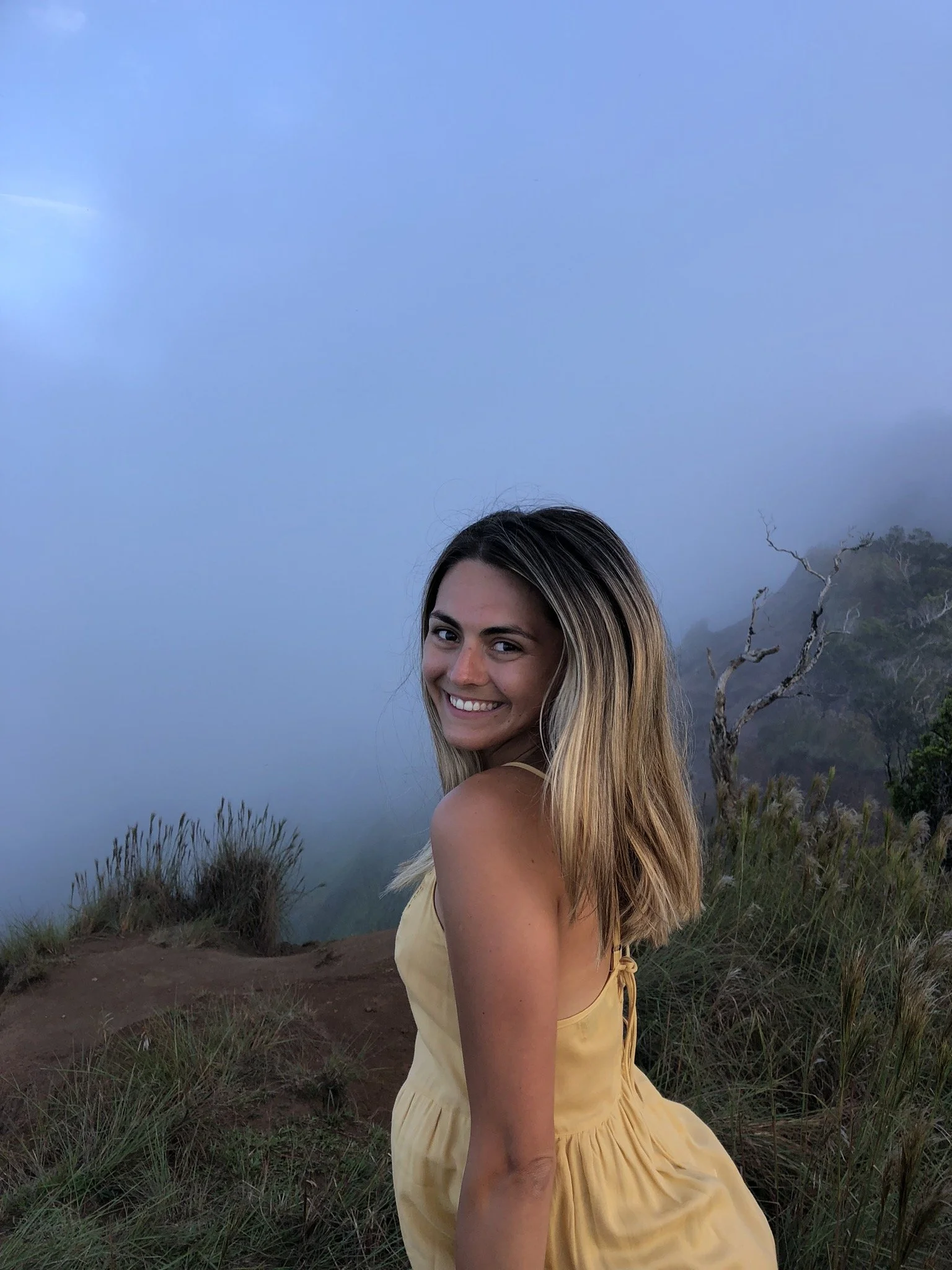 About — GINA MAROVIC