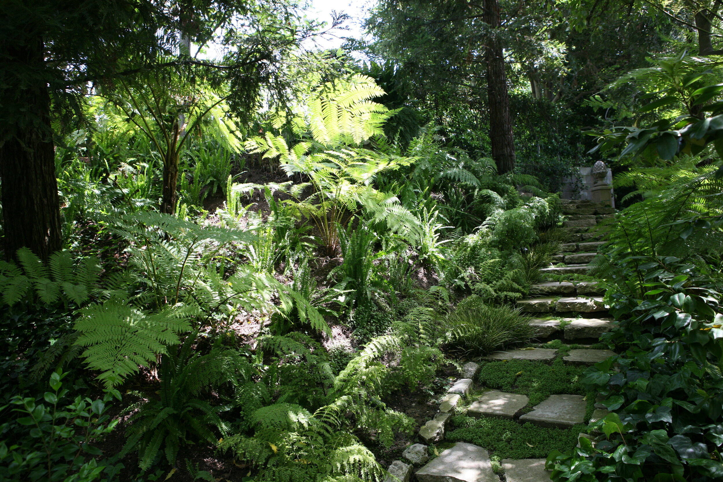 Beverly Hills Georgian Colonial Landscaping — New View Landscape