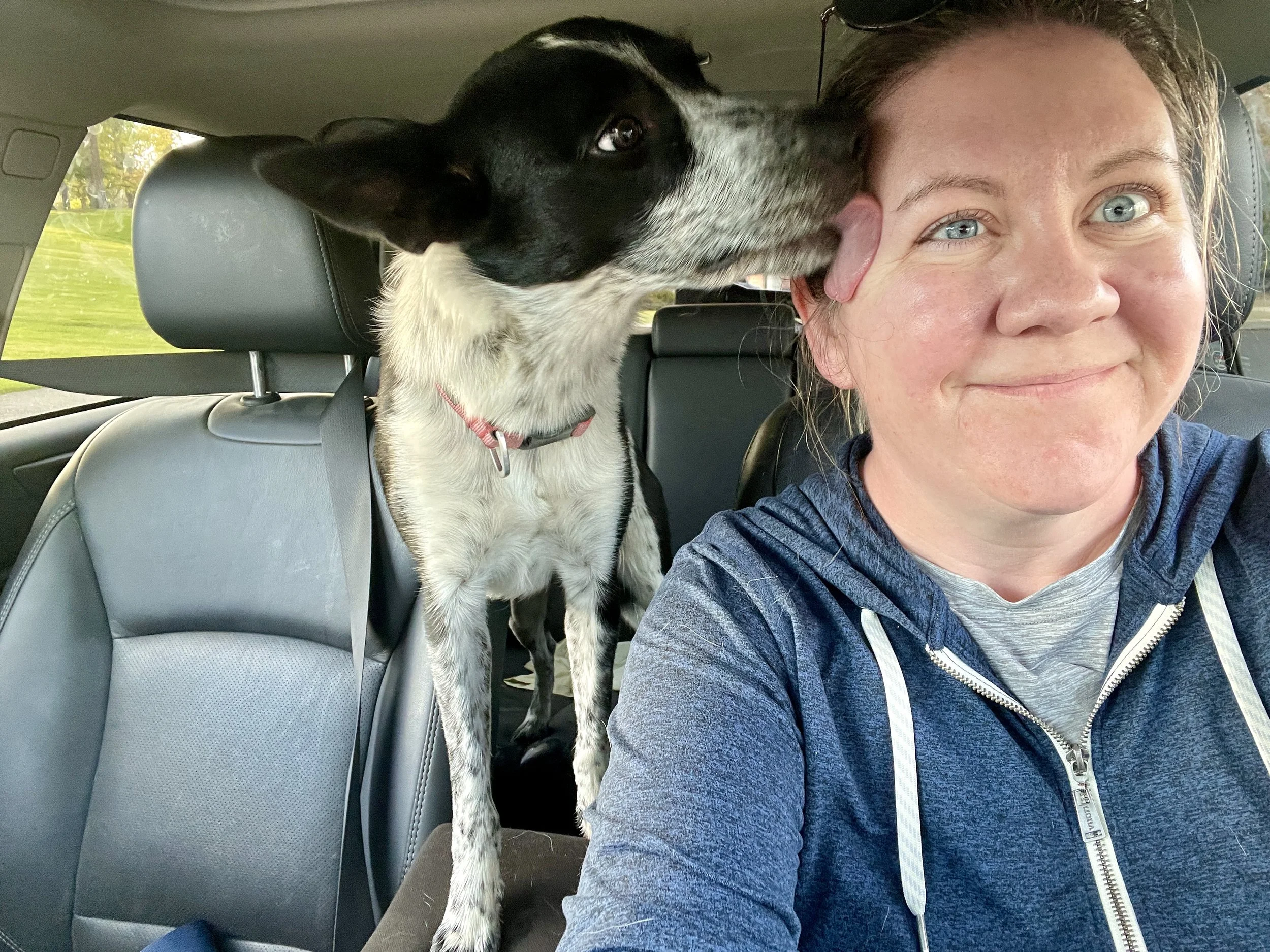 Good Dog Training - Private In-Home Dog Training | Dog Training in ...