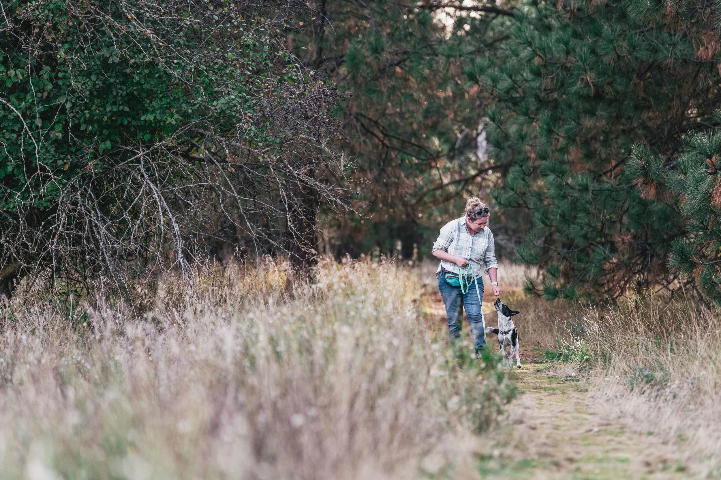 Good Dog Training | Spokane Dog Training - Reactivity & Hyperactivity ...