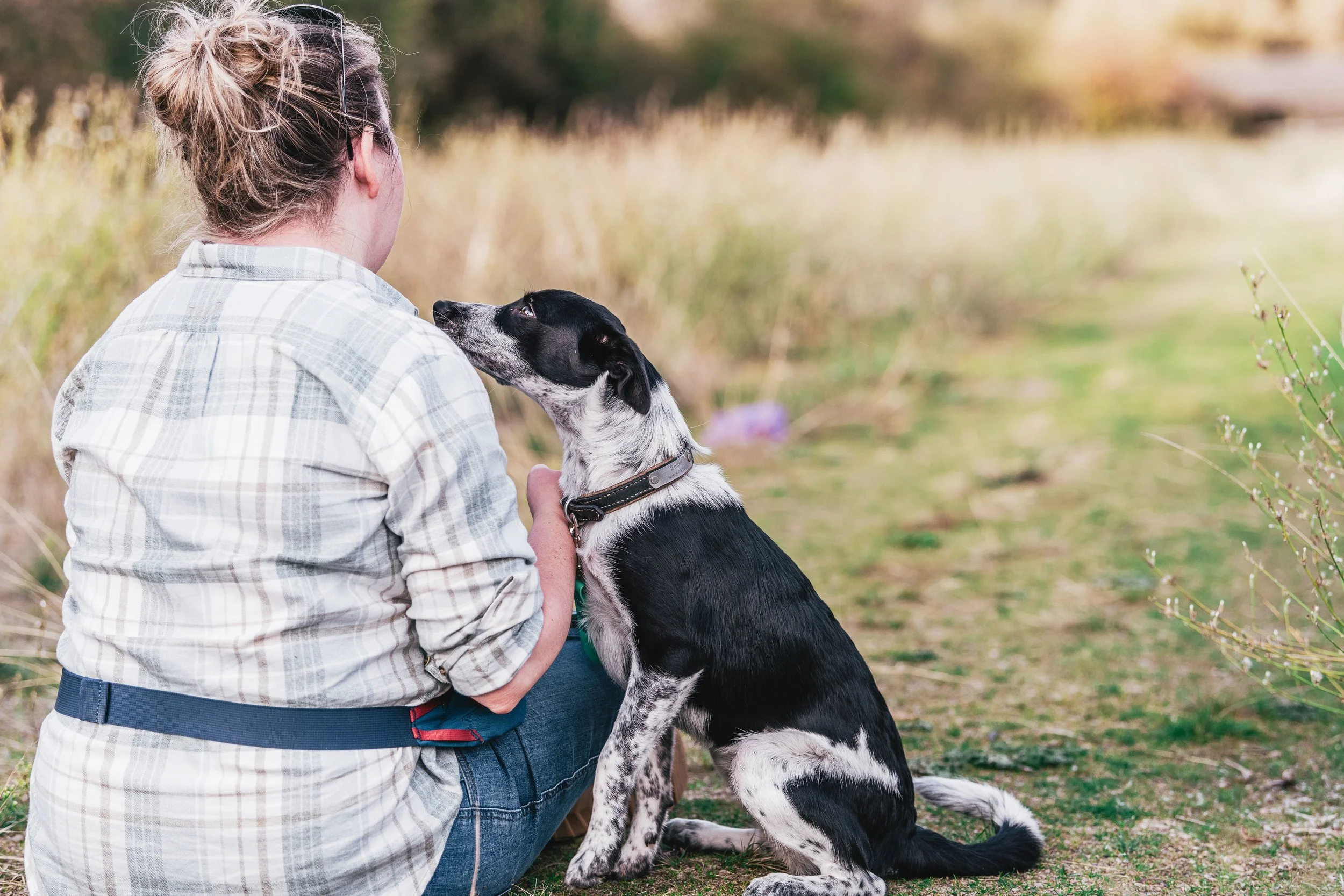 Good Dog Training | Dog Training in Spokane - Reactivity ...