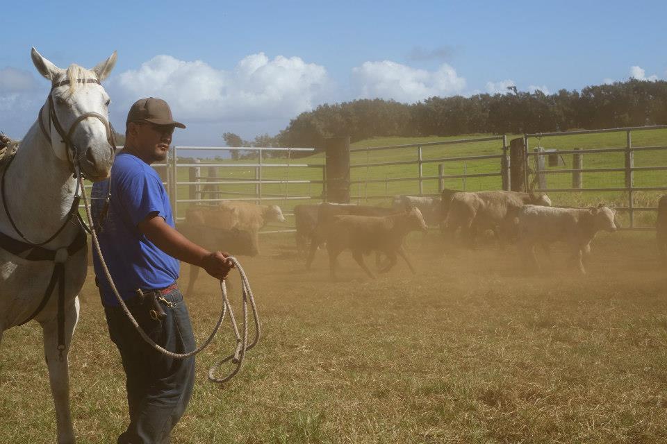 Pu'u O Kumau Ranch